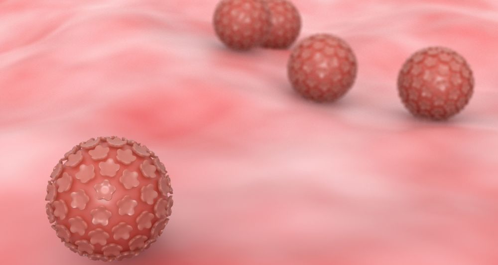 Descubre cómo se contrae el virus del papiloma humano y cómo detectarlo ...